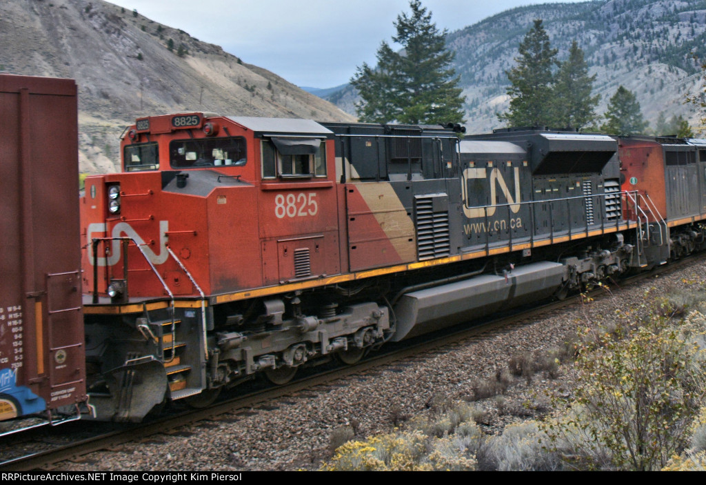CN 8825